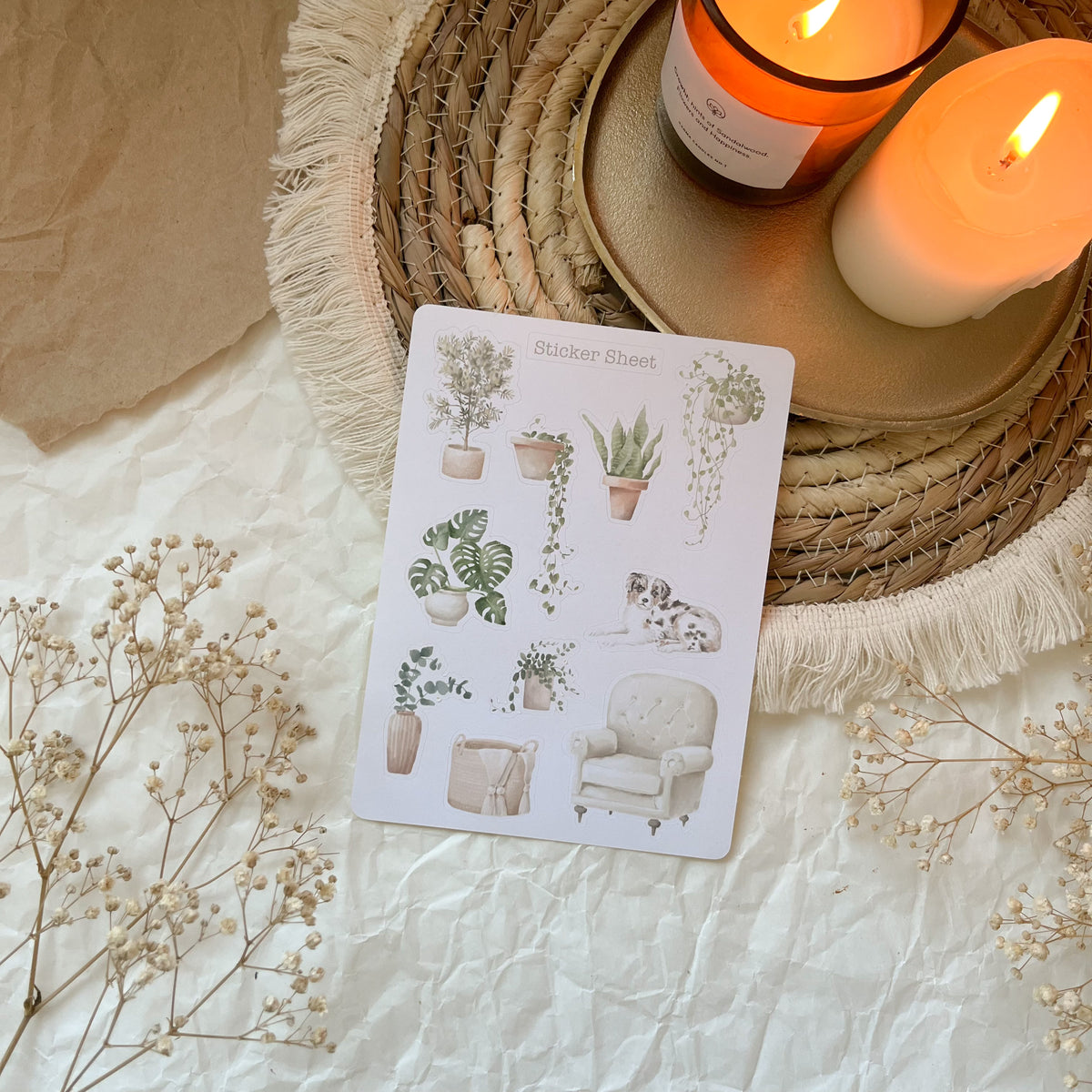 Cozy plant corner sticker sheet – ArtStudioLea